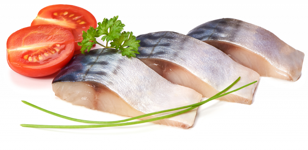 Our Fish – Atlantic Dawn Group